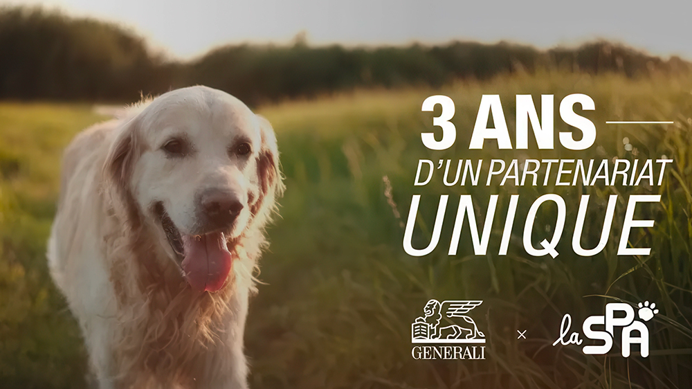 Découvrir GENERALI