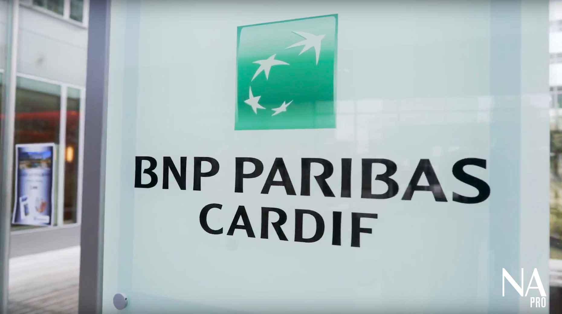 Rendements 2025 : BNP Paribas Cardif reste quasi-stable